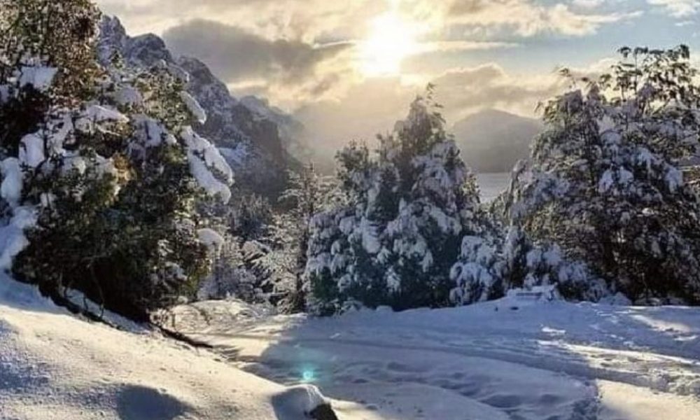 Impresionante nevada sorprende a Guadalupe y Calvo, Chihuahua ...